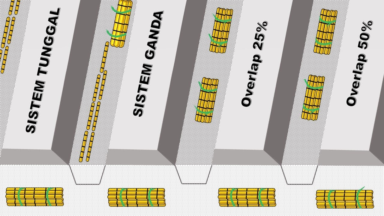 CARA MENANAM TEBU HIJAU DENGAN SISTEM TANAM GANDA OVERLAP 50% TERBARU ...
