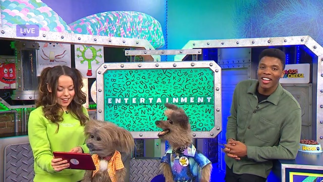 CBBC AFTERNOON LIVE LINK 4 DODGE GUEST APPEARANCE + NEW IDENT - 15TH ...