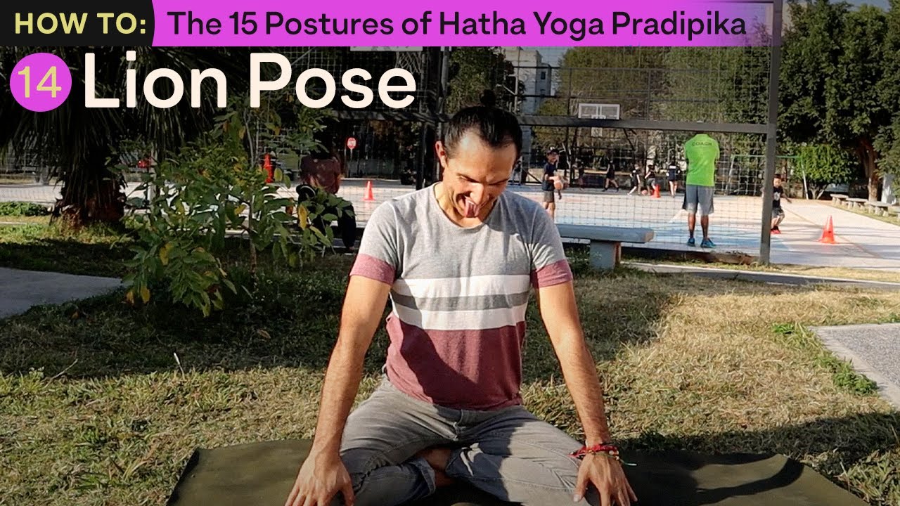Hatha Yoga. Pose 14 SIMHASANA lion pose - YouTube