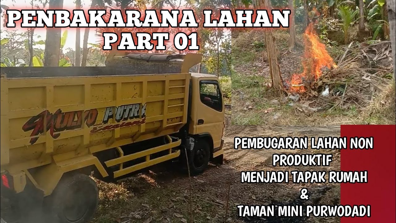 Truck Dump || Pembugaran Lahan Non Produktif Menjadi Tapak Rumah Dan TMP - YouTube