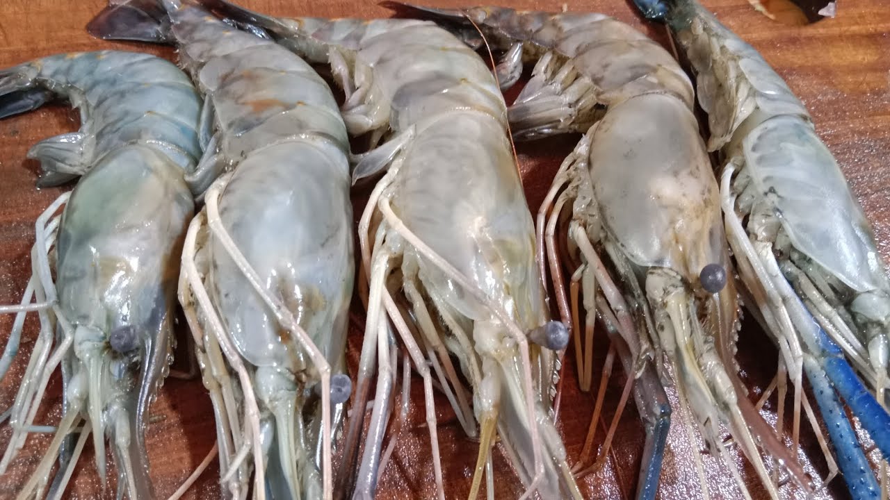 prawn fish recipe #prawns #fish #recipe - YouTube
