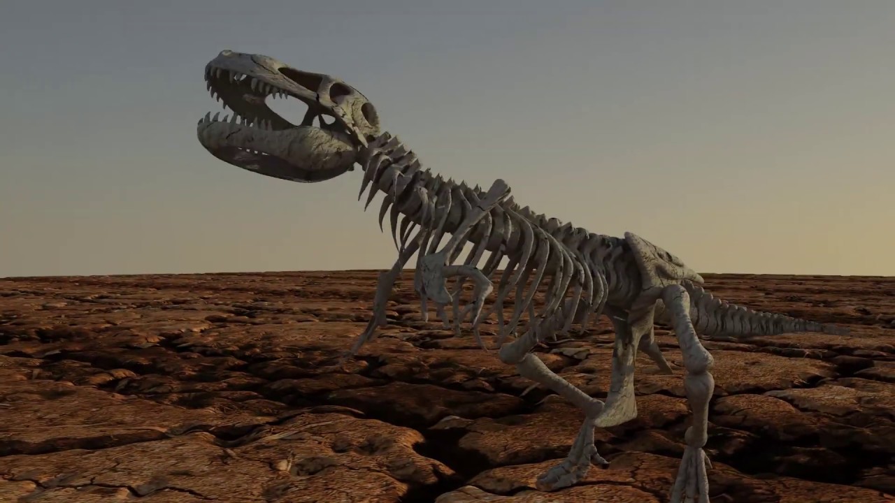 T Rex Stomp Animation Crack Textures - YouTube