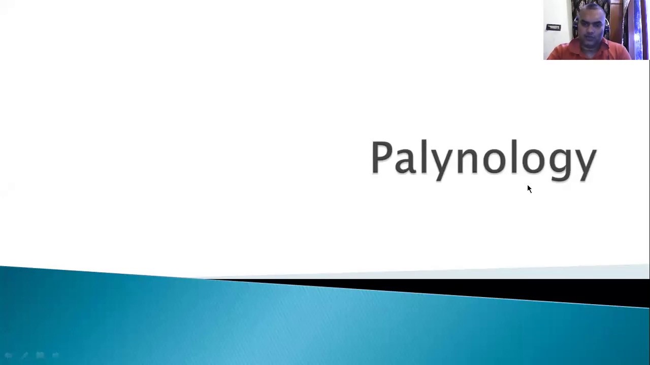Palynology - YouTube