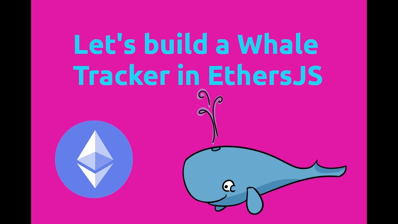Lets Build A Simple Whaletracker In Ethersjs Youtube