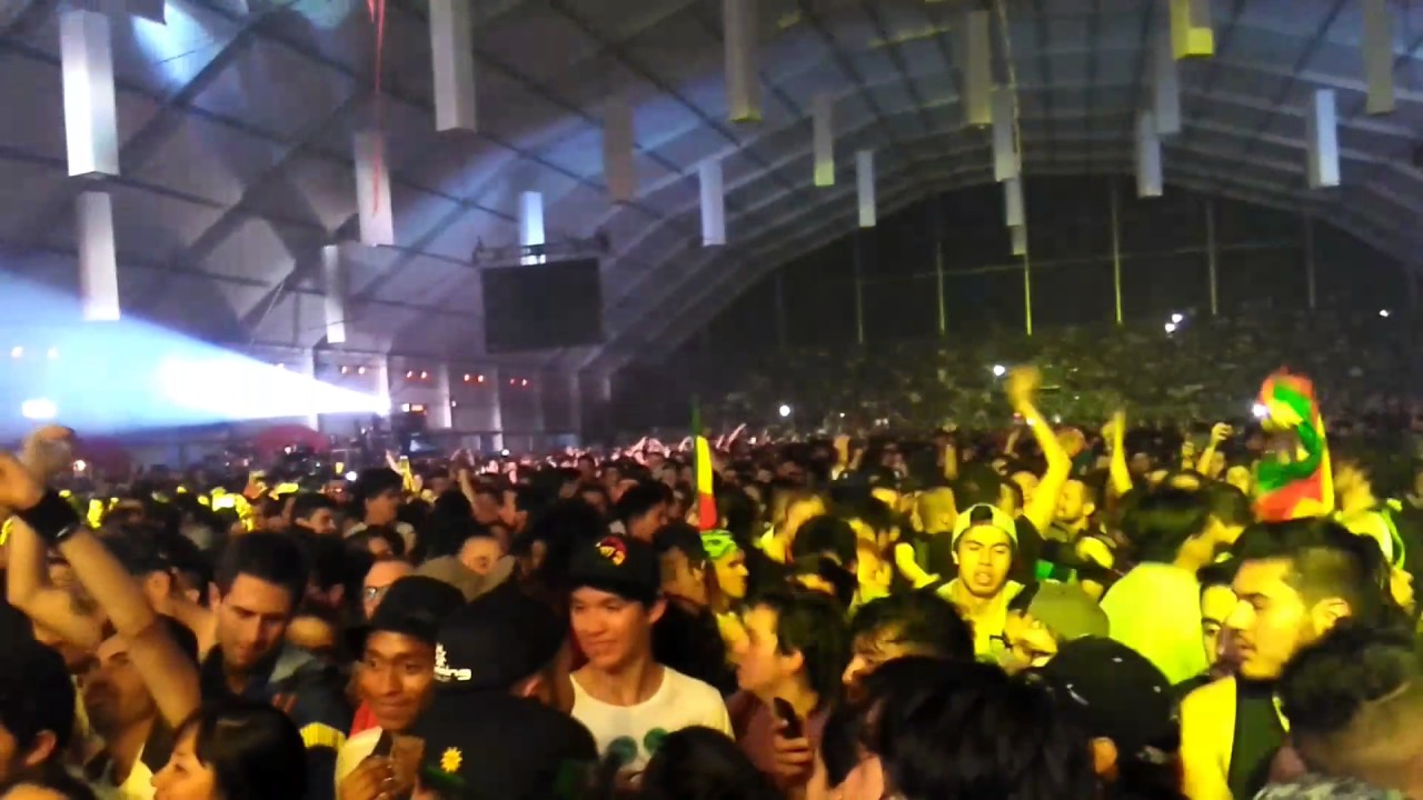 Jamming festival 2017 pogo - YouTube