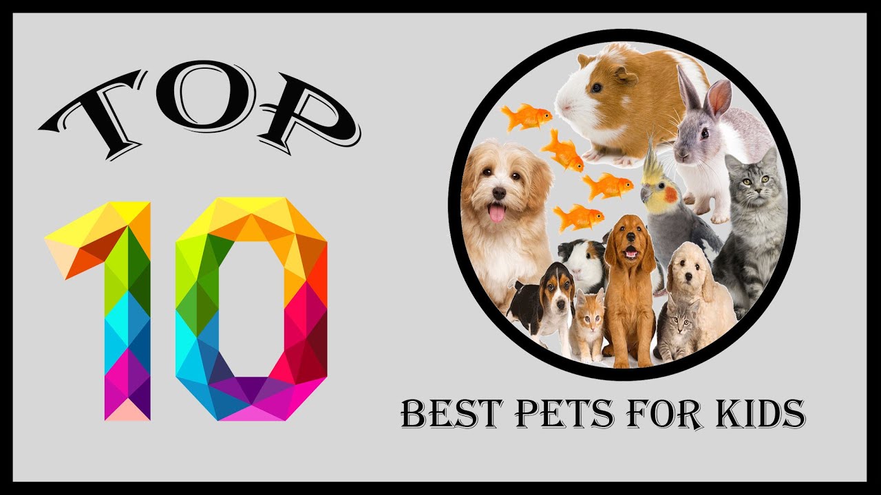 Top Ten Best Pets For Kids
