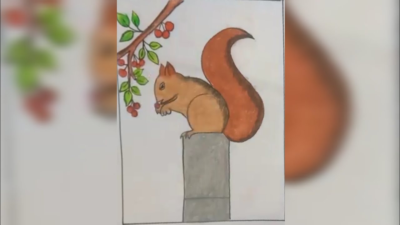 How to draw squirrel step by step very easy/cute squirrel drawing ...