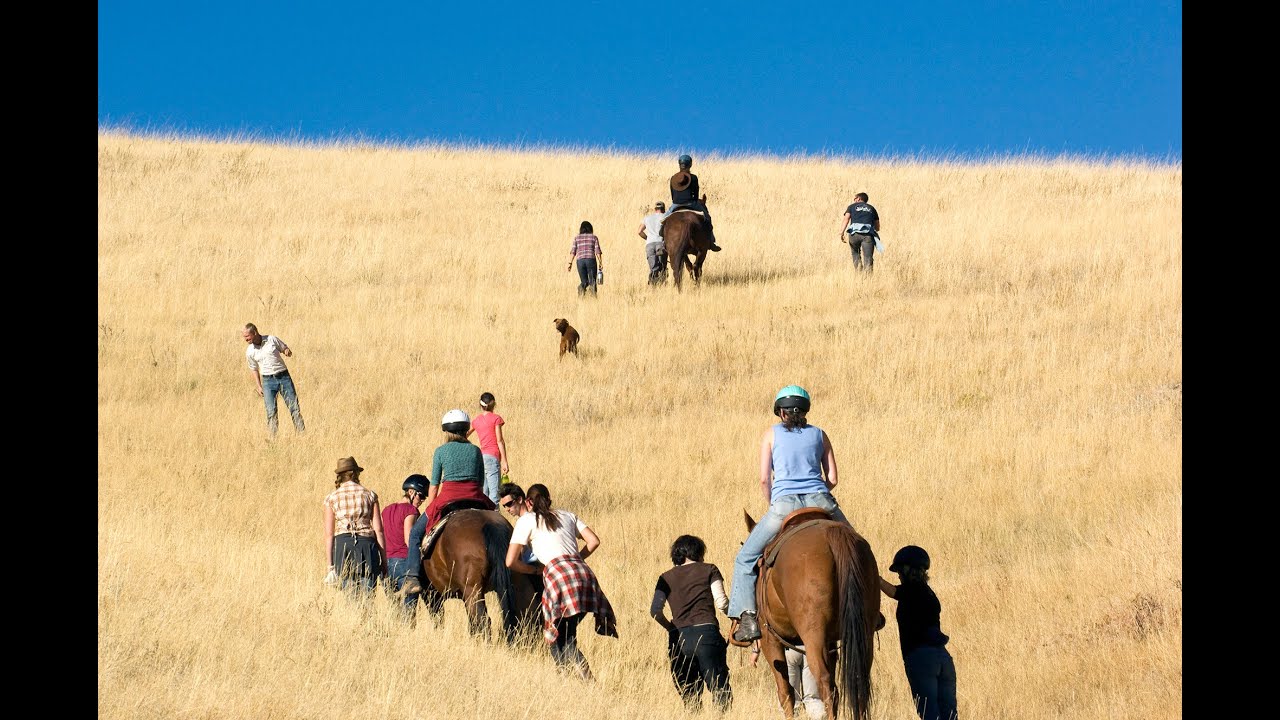 Wilderness Therapy program at Naropa University - YouTube