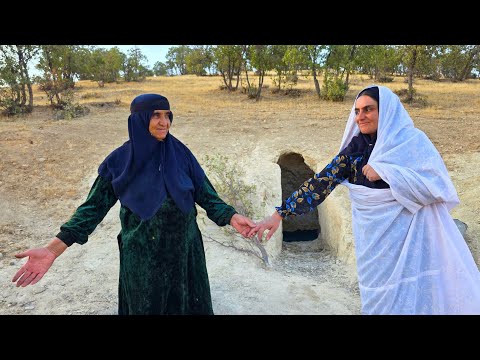 Nihai Karar; Büyükannenin inanılmaz teklifi Goli'yi terk edilmiş ormandan kurtarır