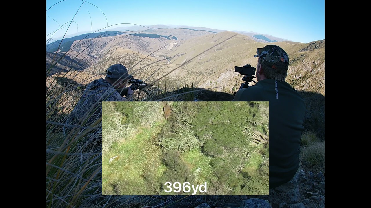 Long range wallaby hunting, New Zealand public land - YouTube