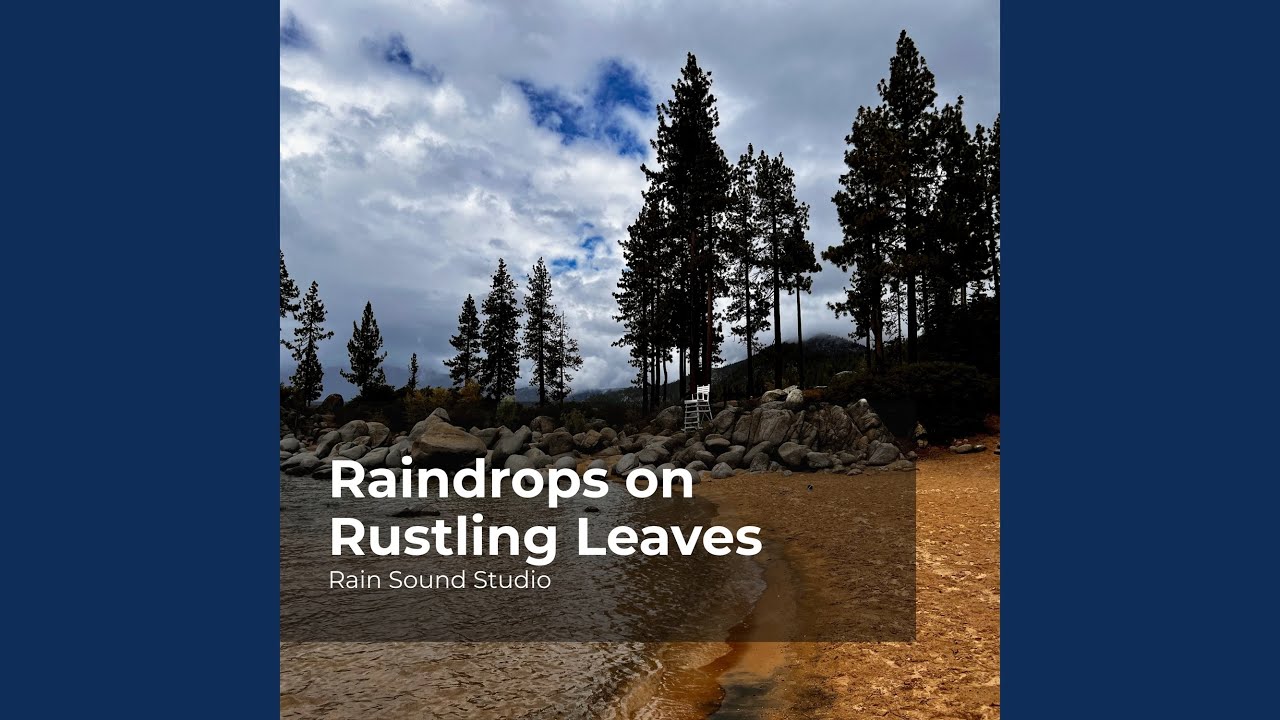 Rain Rhythm Flow - YouTube