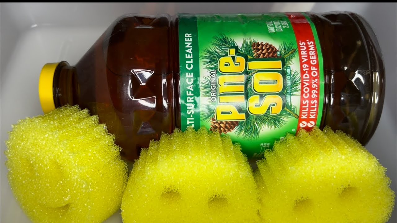🌲ASMR most satisfying pine-sol🌲sponge squeezing | scrub daddy - YouTube