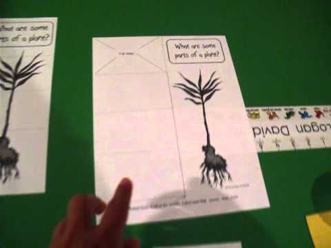 Classical Conversations Science Week 9 - YouTube