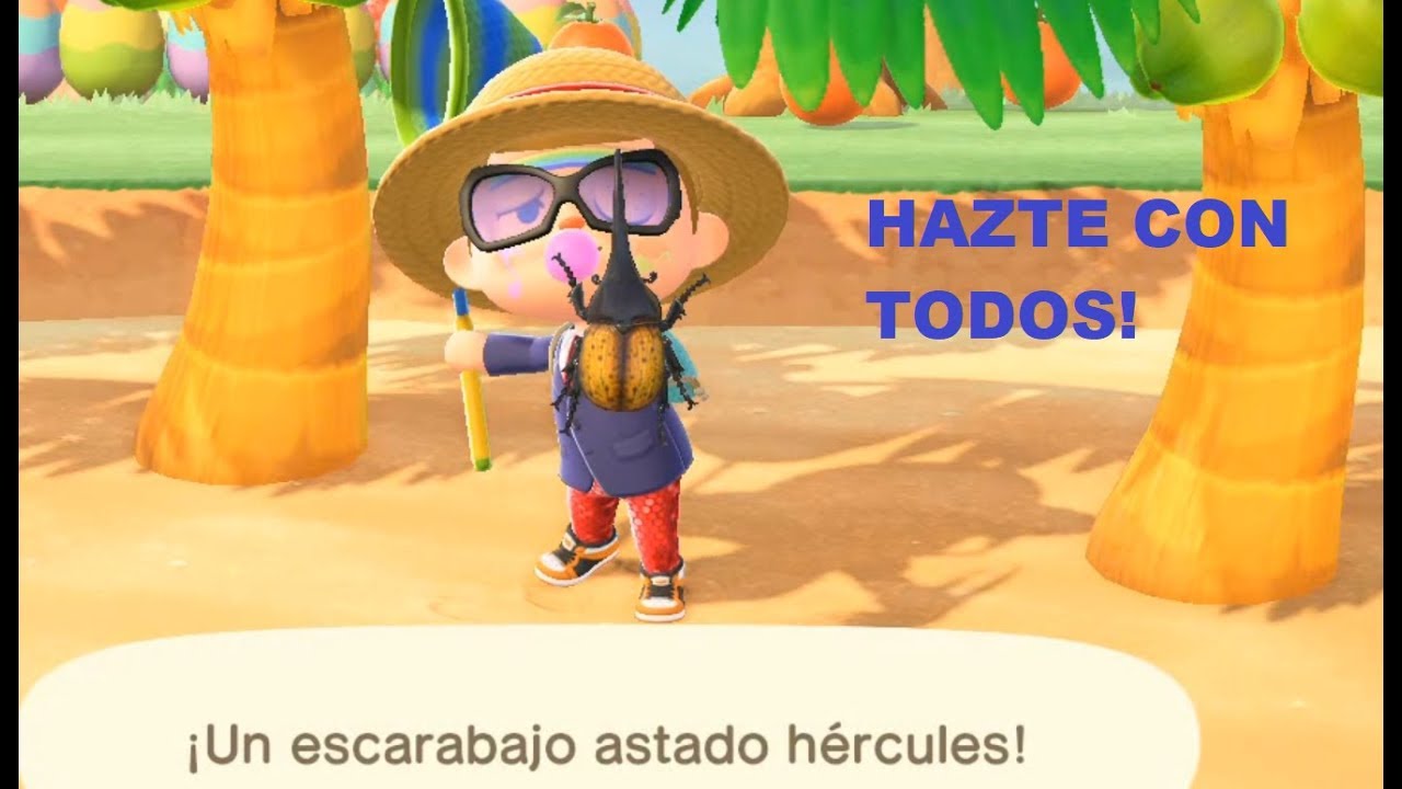 COMO CAZAR UN ESCARABAJO ASTADO HERCULES EN 30 SEGUNDOS! ANIMAL ...