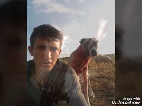 Isparta Büyükkabaca