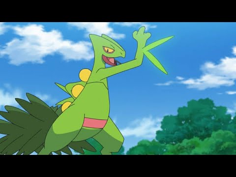 Treecko,Grovyle and Sceptile Pokemon all Attacks #pokemon #treecko # ...