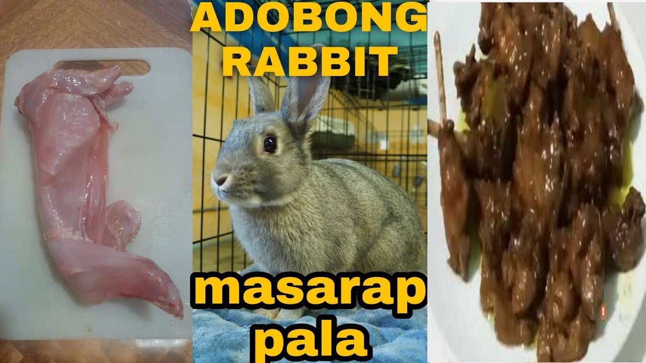 Adobong rabbit na may gata - YouTube