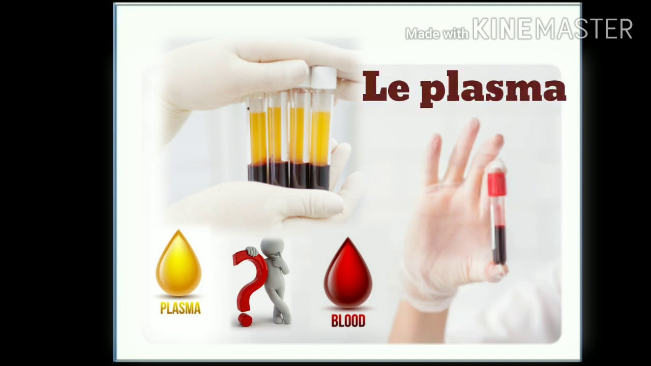 Le plasma sanguin أجي تعرف شنو هي ؟ 👍 - YouTube