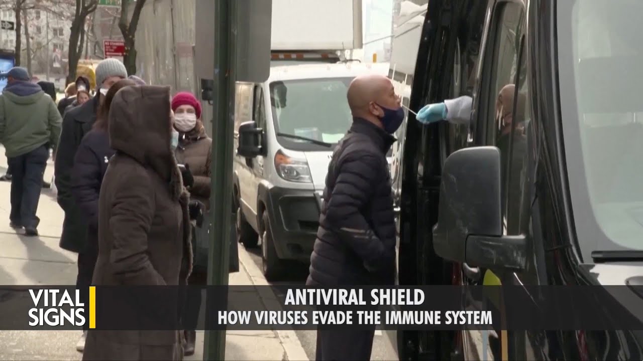 Activate Your Cellular ‘Virus Shield’ Through Hydrotherapy–Heat ...