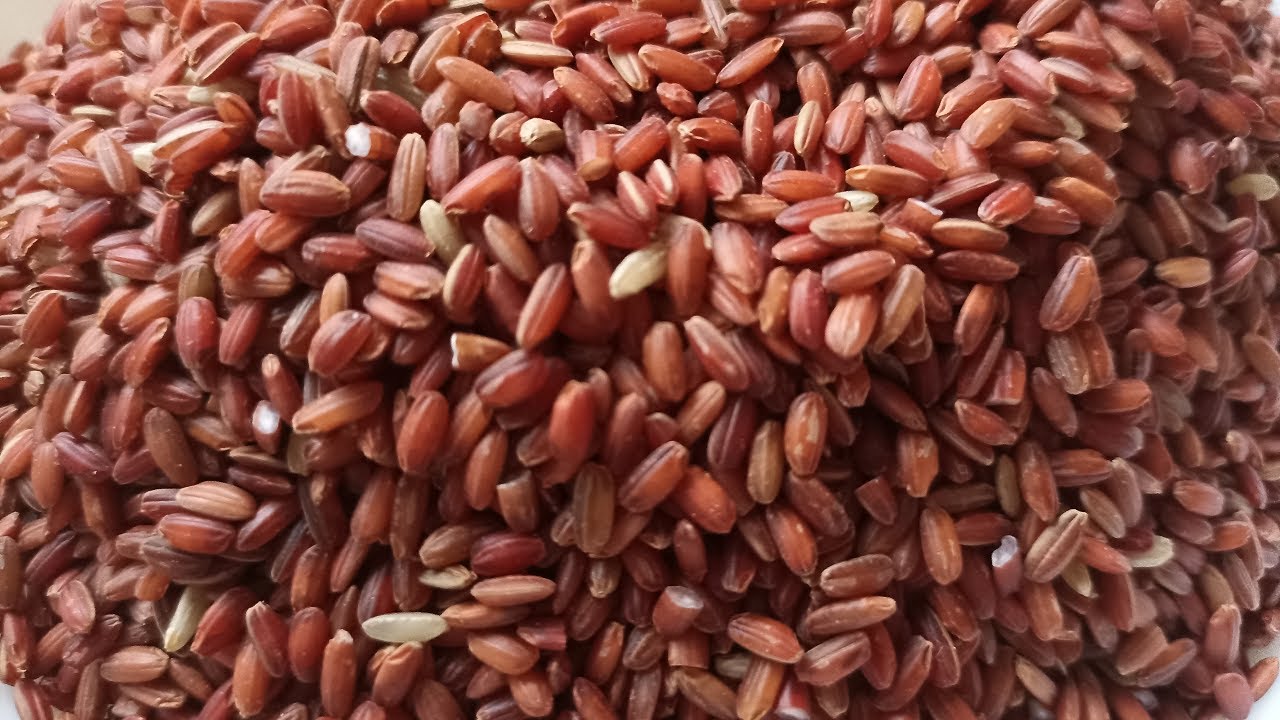Organic Raw Red Rice - YouTube