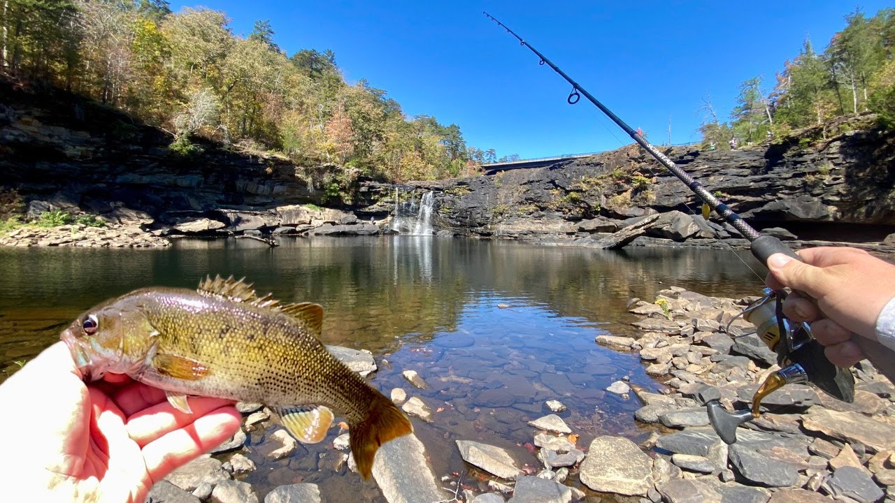 Bass fishing RARE SPECIES in Canyon WATERFALL! - YouTube