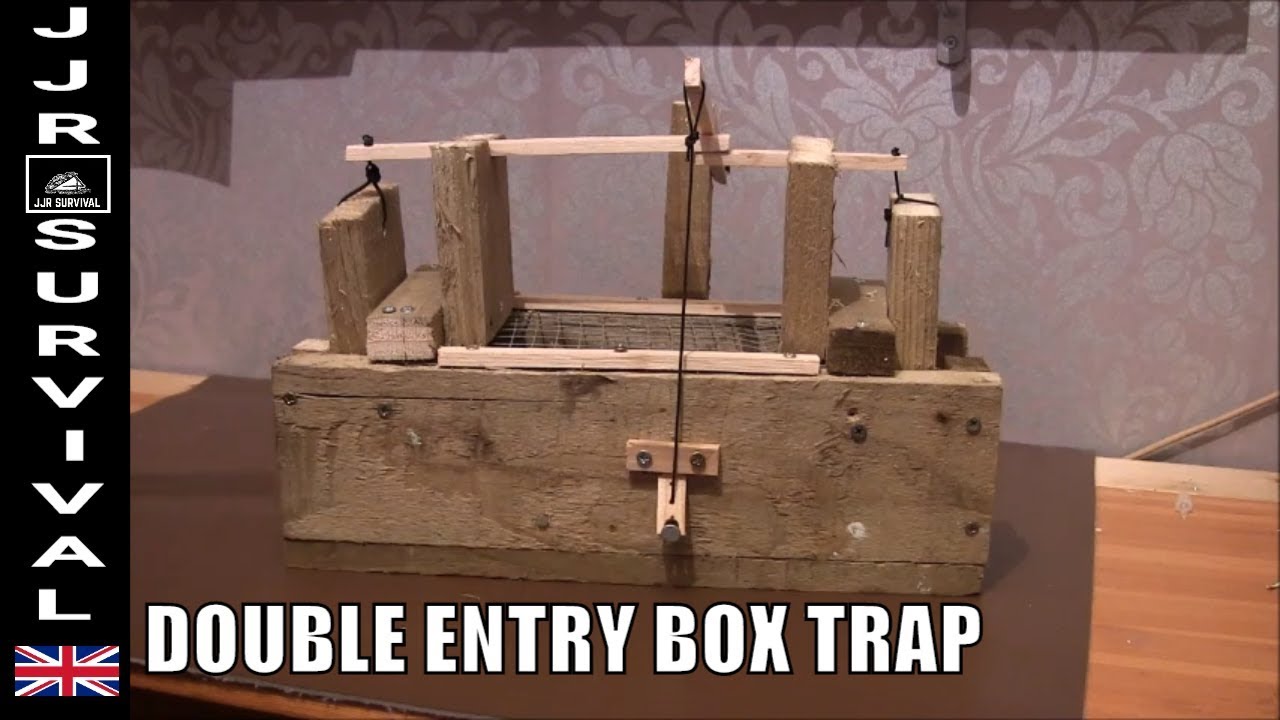 DOUBLE DOOR RAT TRAP - YouTube