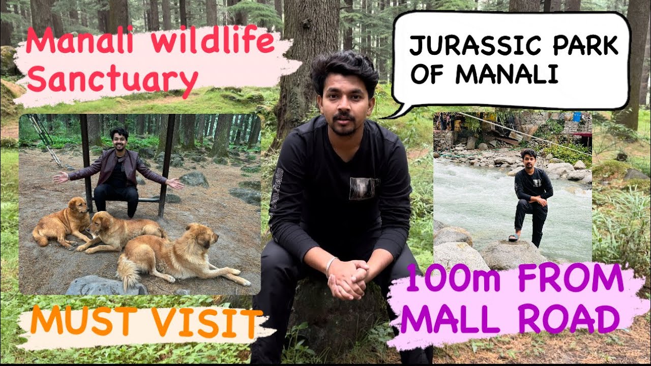 Manali Wildlife Sanctuary || JURASSIC PARK OF MANALI || #manali #vlog # ...