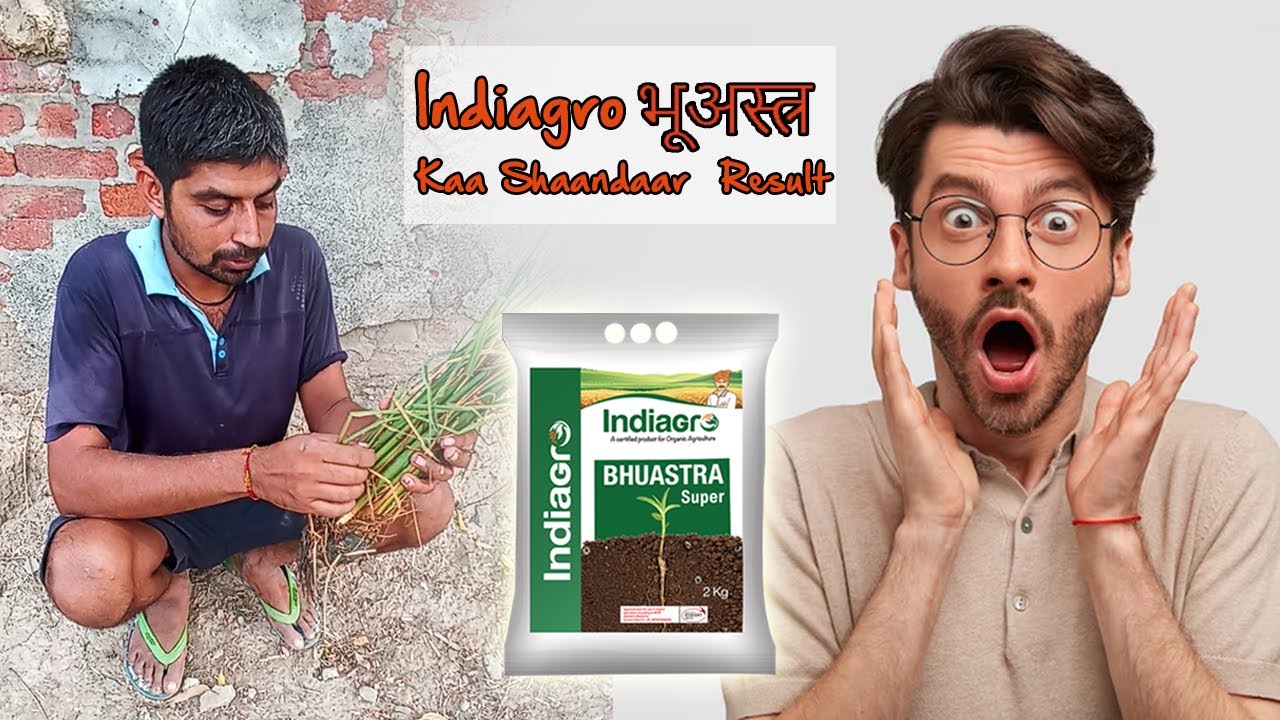 Bhuastra Super Result In Rice Crop Ziri - YouTube