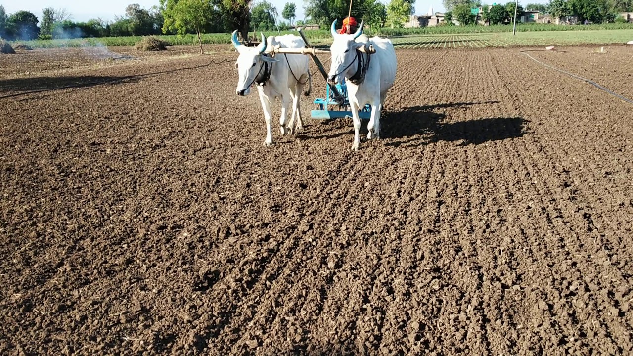 कांदा पेरणी यंत्र kanda perni yantra/onion sowing machine - YouTube