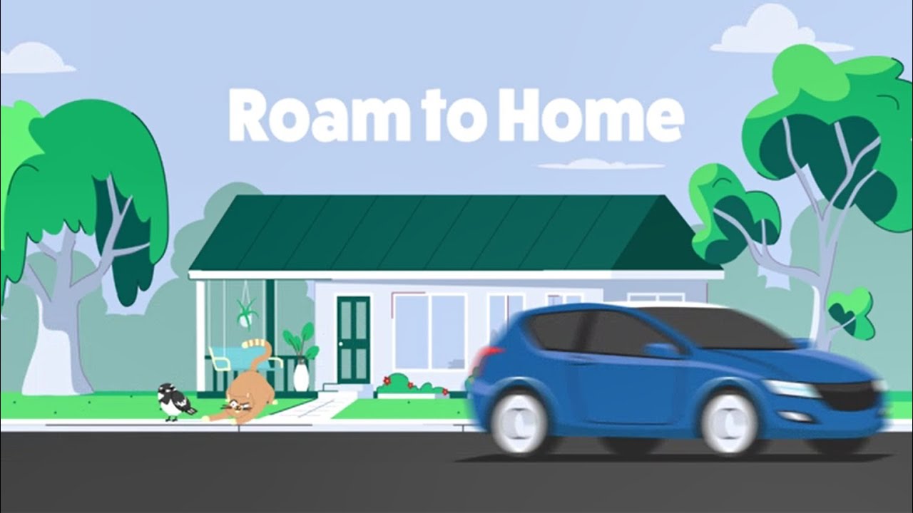 Roam to home (how to bring a roaming cat inside to safety) - YouTube