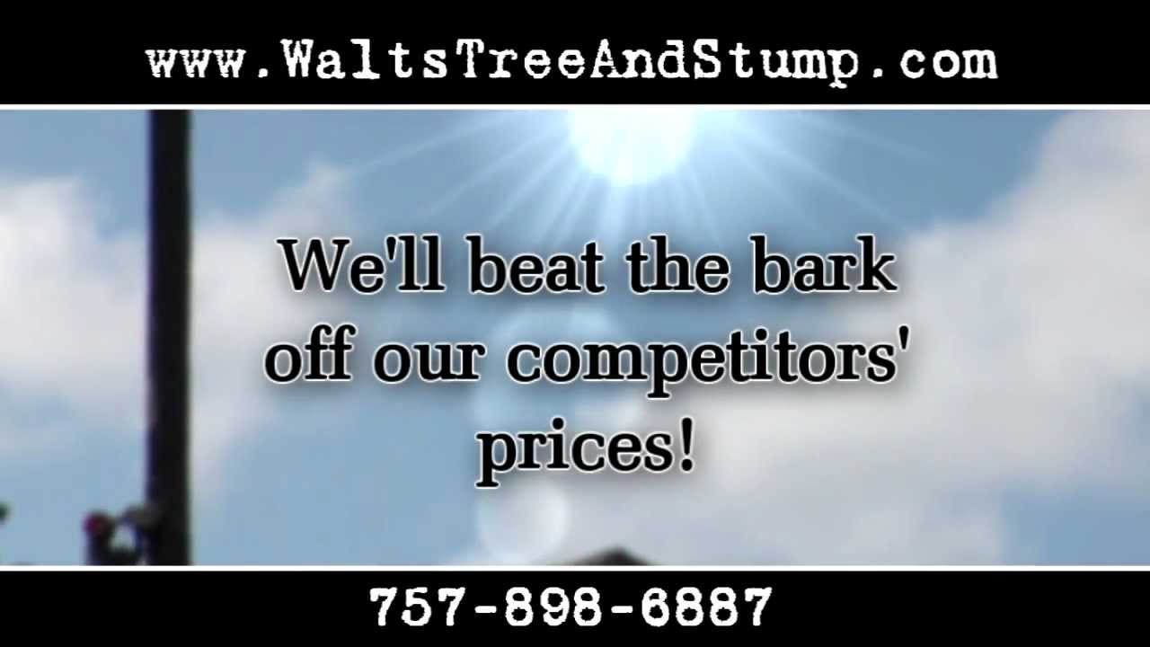 Walt's Tree and Stump Removal - Tree Service in Newport News,Yorktown ...