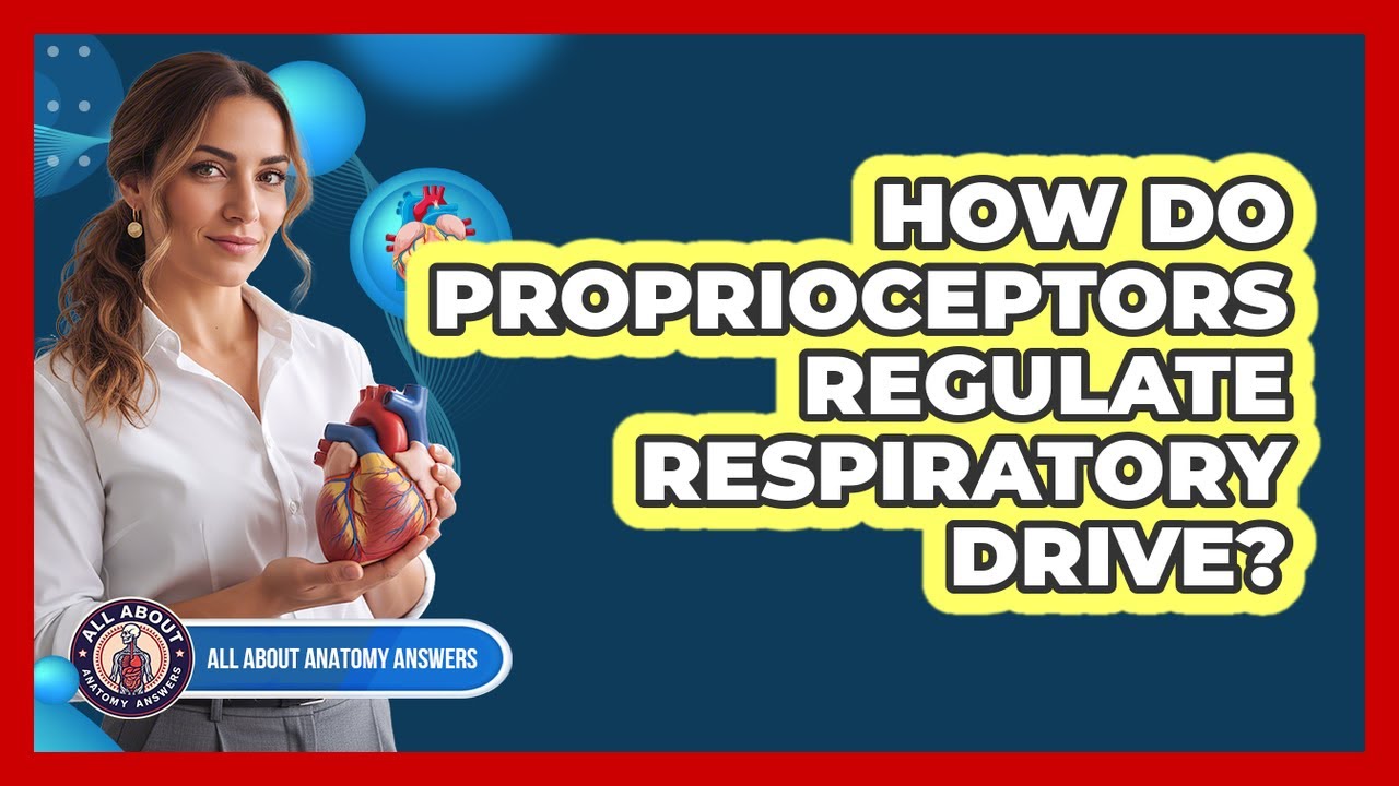 How Do Proprioceptors Regulate Respiratory Drive? - YouTube