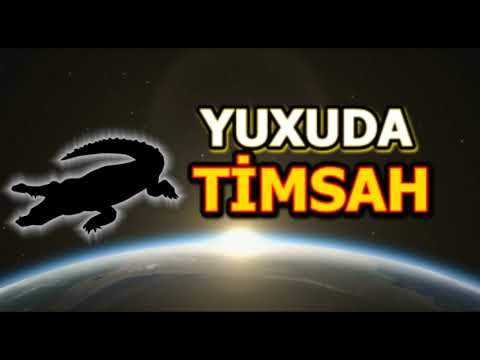 Yuxuda timsah gormek