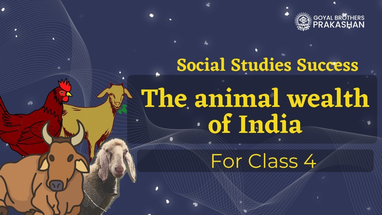 The animal wealth of India - YouTube