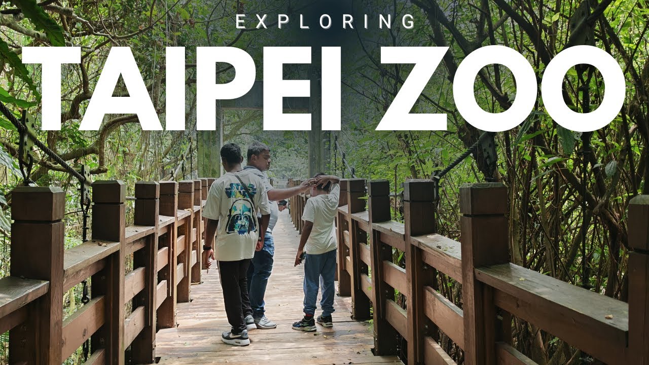 🐼 Exploring Taipei Zoo: Giant Pandas, Formosan Bears & More! 🦒🐾 - YouTube