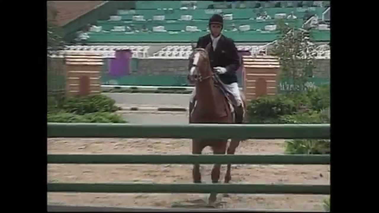 Blyth Tait riding Reddy Teddy wins Individual Mixed Eventing Gold ...