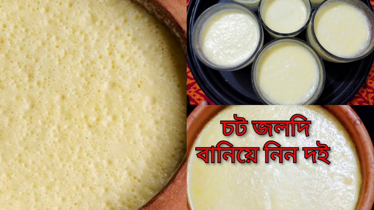 দই/Yogurt/curd/ doi/tok doi 1st টাইম আপনাদের ভাইয়ার বানানো দই! - YouTube