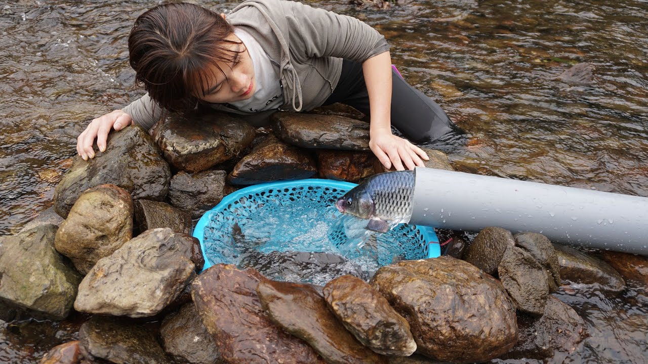 How to Make a Simple Fish Trap with PVC Pipe. Surprisingly Effective ...