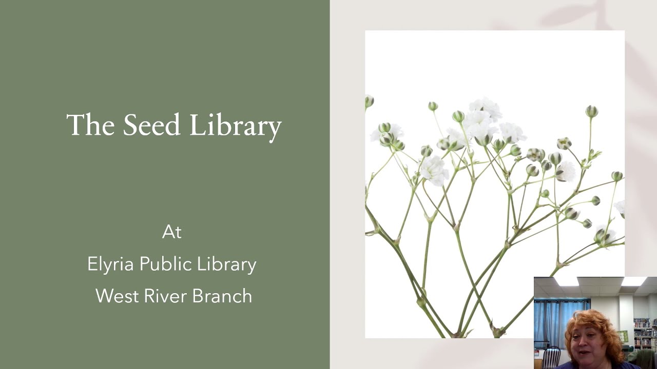 The Seed Library at the Elyria Public Library System - YouTube