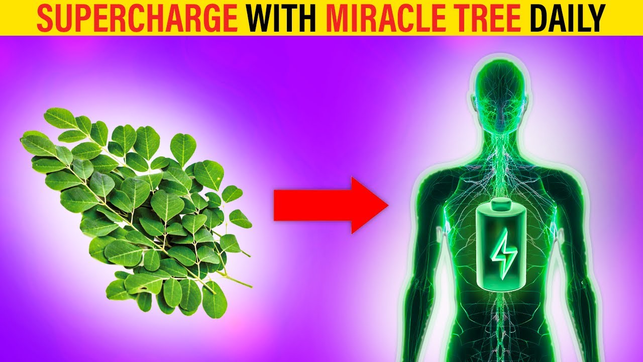 Moringa: The Miracle Tree You NEED To Know About - YouTube
