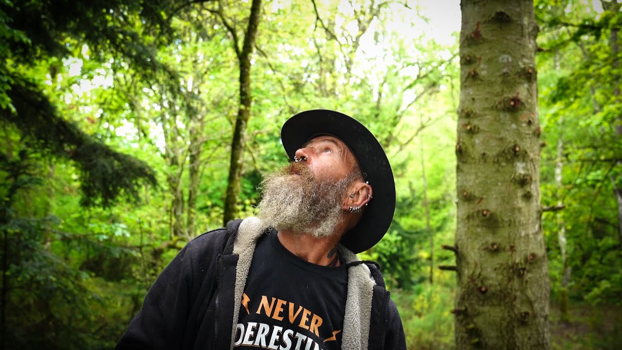 The ultimate woodland plan, with Nic the tree surgeon; FULL TOUR - YouTube
