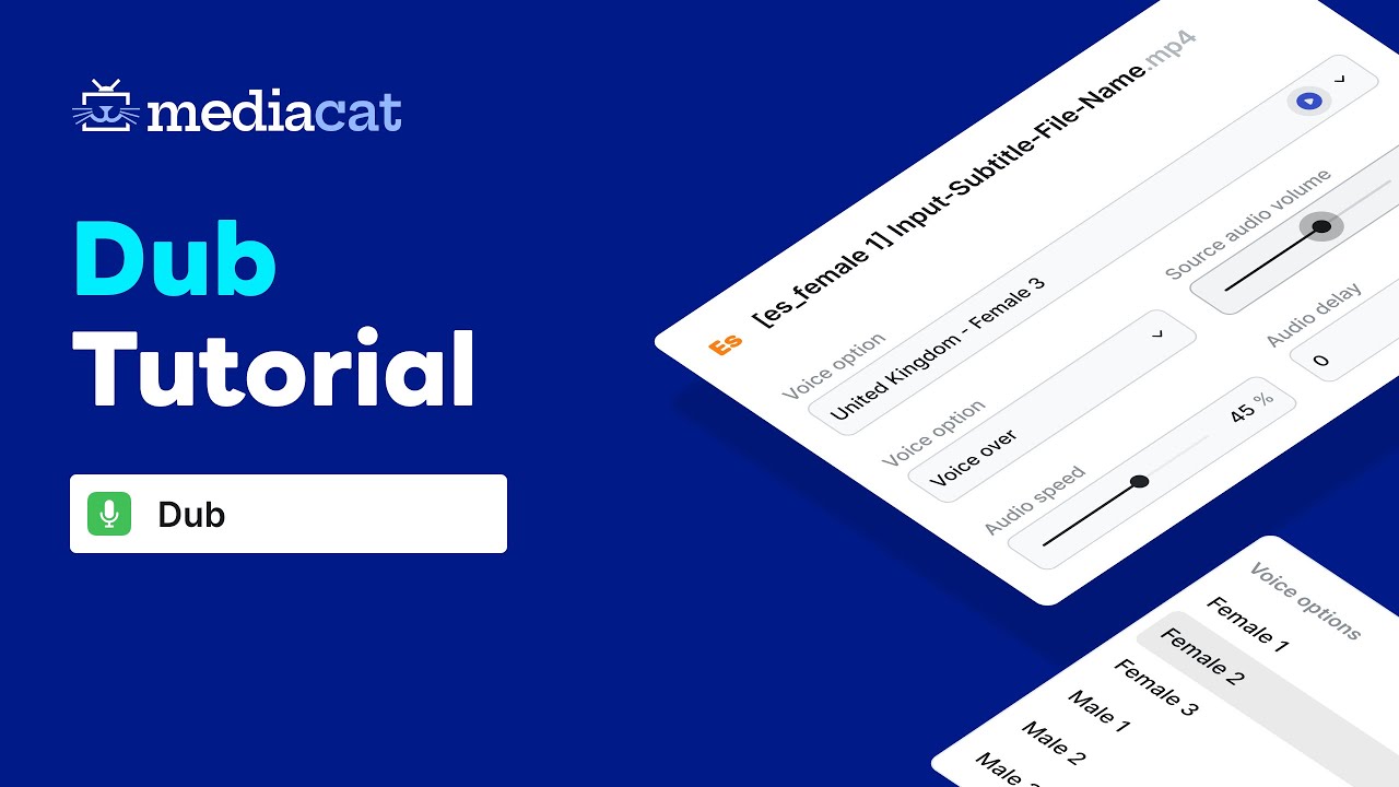 How to Use MediaCAT for BEGINNERS! - Dub tutorial - YouTube