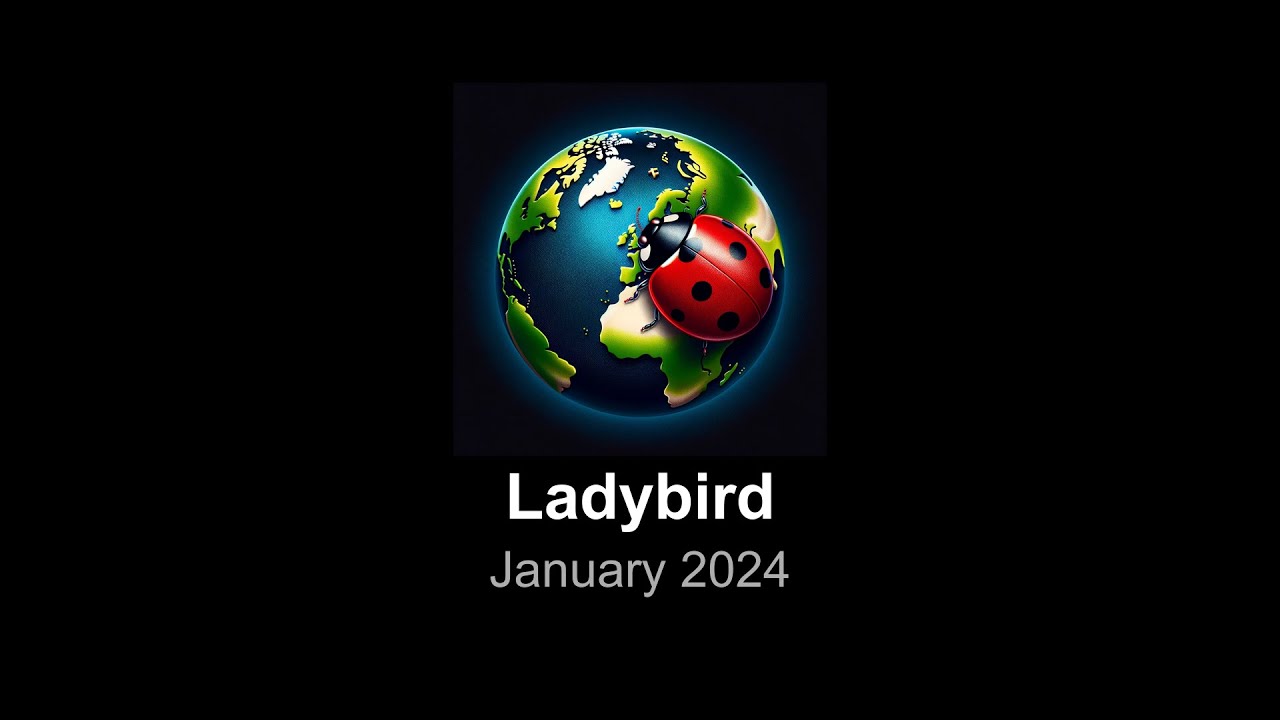Ladybird browser update (January 2024) - YouTube