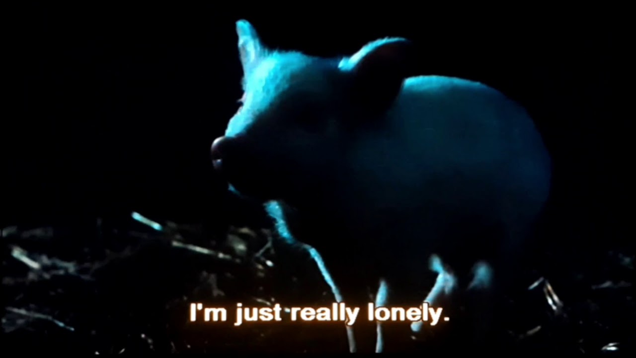 Wilbur sad and special night - YouTube