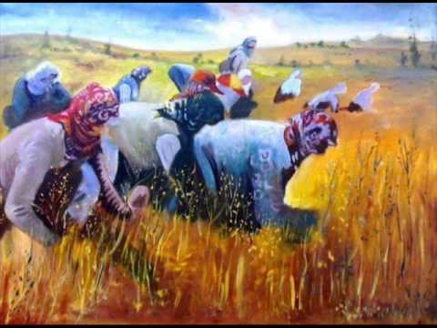 Dostum Olmadı