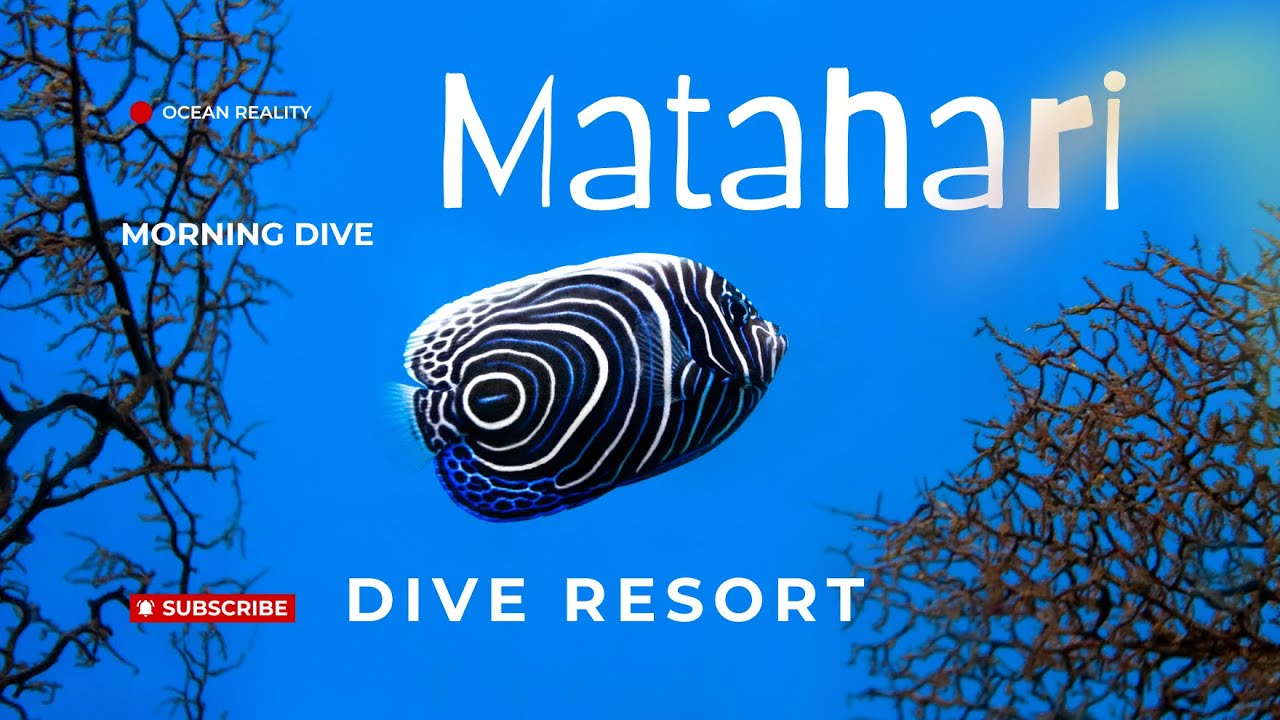Morning Dive in front of Matahari Dive Resort - YouTube