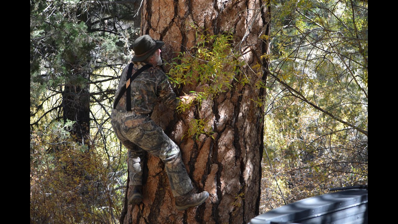 Driving the Routes and Trails Through Juniper Flats & San Bernardino ...