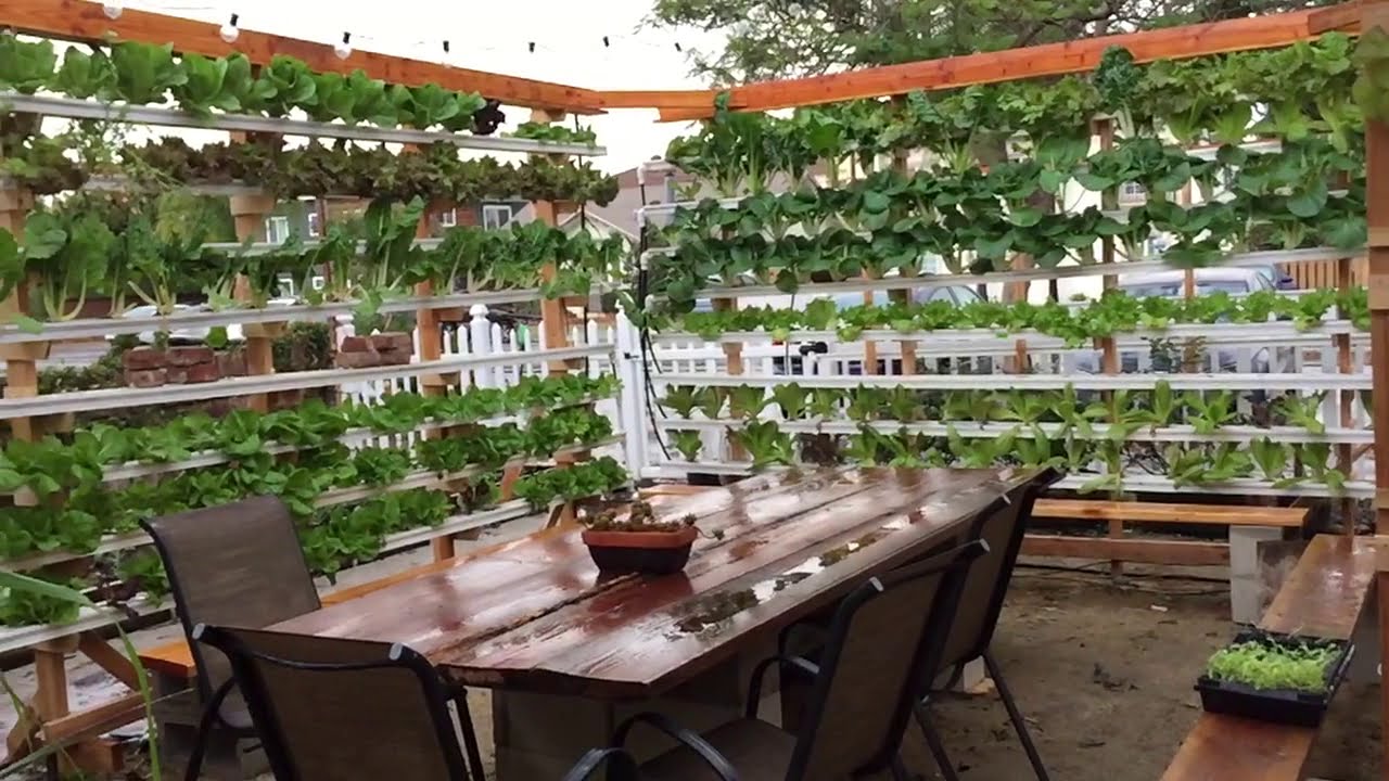 Front Yard Vermiponics Snapshot - YouTube