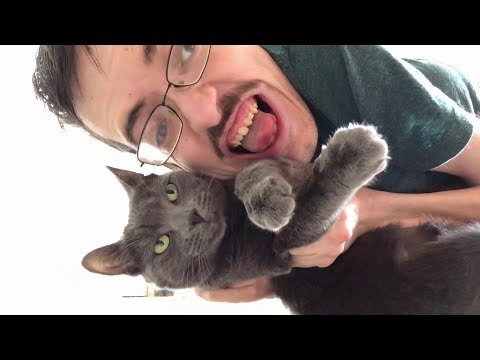 ADVENTURE CAT TIME 🐱 - Ricky Berwick