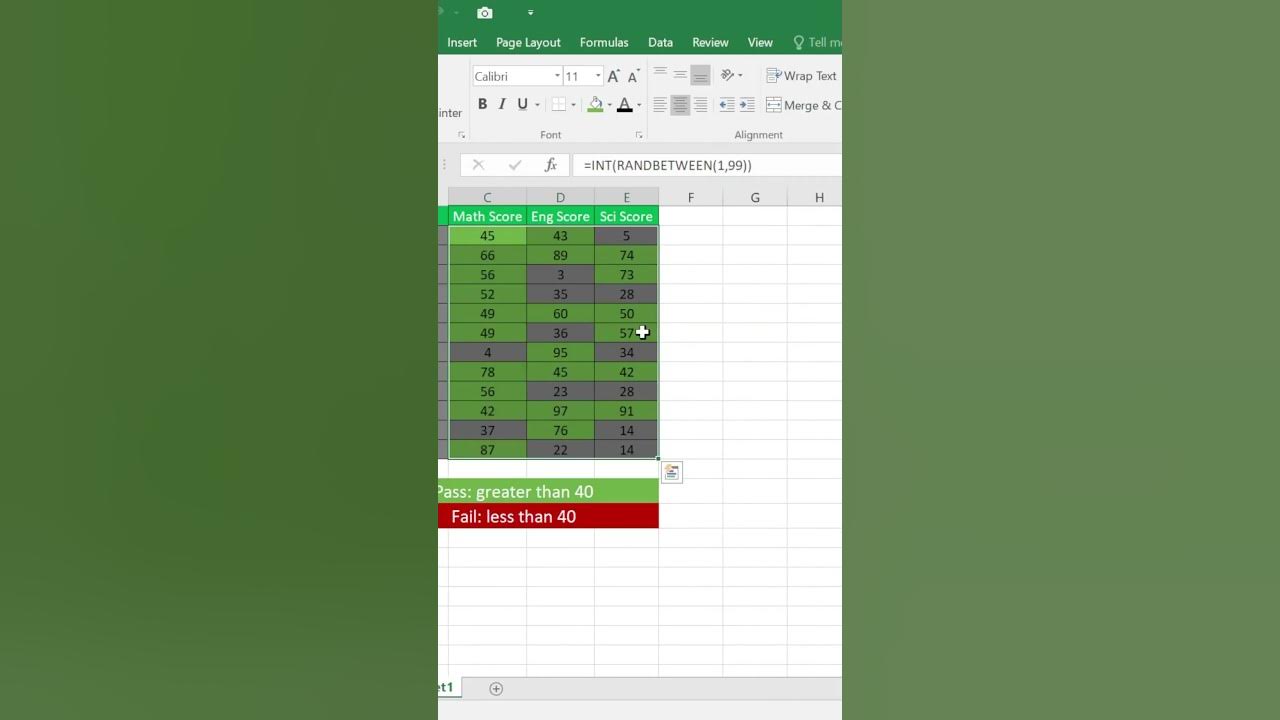 How to Use Conditional Formatting in Excel for Beginners - 2024 - YouTube